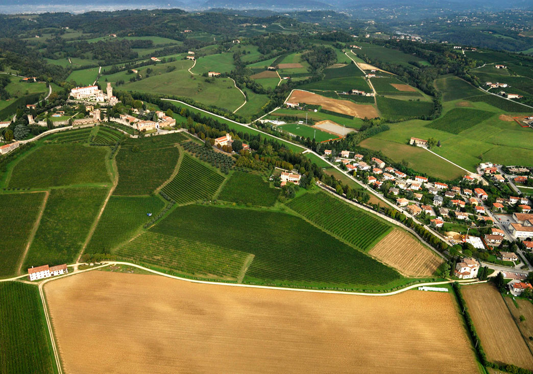 Grazie da Insieme per Susegana - Insieme per Susegana